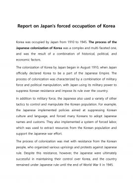 Report on Japan 레포트 자료-1페이지