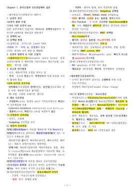연세대학교 미래캠퍼스 의학과 편입학 대비_사람발생학 써머리-1페이지
