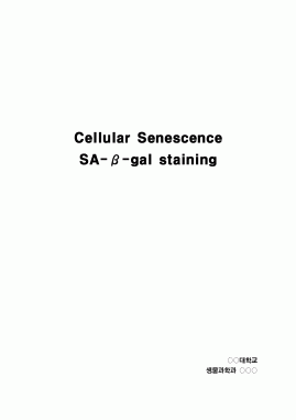 Cellular Senescence SA-β-gal staining 레포트-1페이지