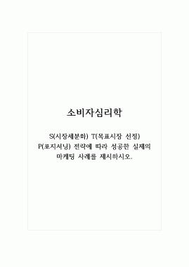소비자심리학_S(시장세분화) T(목표시장 선정) P(포지셔닝) 전략에 따라 성공한 실제의 마케팅 사례를 제시하시오.-1페이지