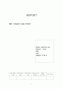 자연분만 CASE STUDY 틀-1페이지