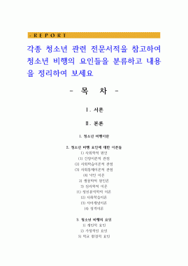 각종 청소년 관련 전문서적을 참고하여 청소년 비행의 요인들을 분류하고 내용을 정리하여 보세요-1페이지