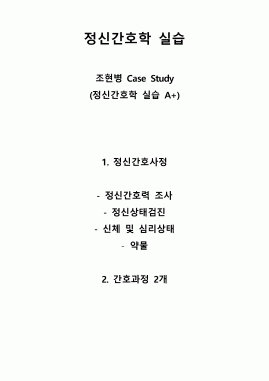 정신간호학 뷰티풀마인드 간호과정-1페이지
