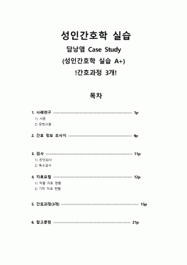 성인간호학 담낭염 간호과정 3개-1페이지