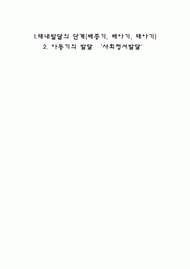 태내발달의단계 배종기, 배아기, 태아기-1페이지