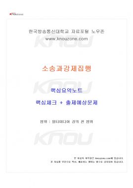 2024년 1학기 소송과강제집행 멀티미디어 강의 전 범위 핵심요약노트-1페이지