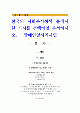 한국의 사회복지정책 중에서 한 가지를 선택하열 분석하시오. - 장애인일자리사업-1페이지