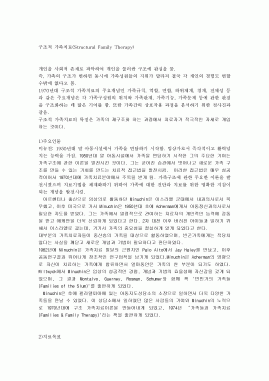 구조적 가족치료(Structural Family Therapy)-1페이지