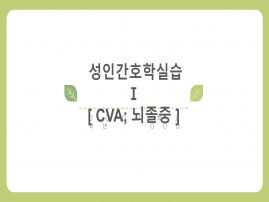 질병 문헌 고찰 CVA, 뇌졸중 pt-1페이지