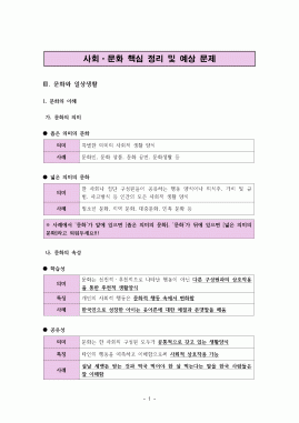 사회문화 III단원 핵심 내용 정리 및 출제 예상 문제-1페이지