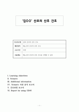모성간호학 시뮬레이션 실습 시나리오 배뇨 곤란 간호과정 보고서-1페이지