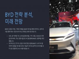 BYD 전략 분석 및 미래 전망-1페이지