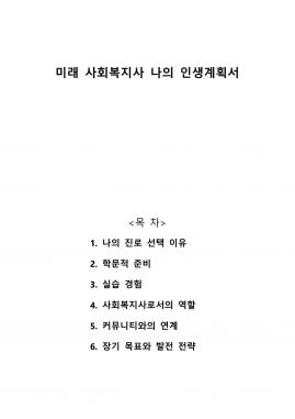 미래 사회복지사 나의 인생계획서-1페이지
