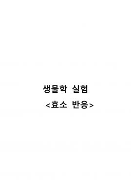 효소반응 레포트 자료-1페이지