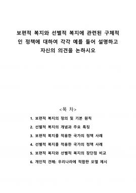 보편적 복지와 선별적 복지에 관련된 구체적인 정책에 대하여 각각 예를 들어 설명하고 자신의 의견을 논하시오-1페이지