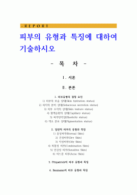 피부의 유형과 특징에 대하여 기술하시오-1페이지