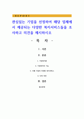 관심있는 기업을 선정하여 해당 업체에서 제공되는 다양한 복지서비스들을 조사하고 의견을 제시하시오-1페이지