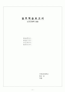노인 실습 케이스(간호진단 2개)-1페이지