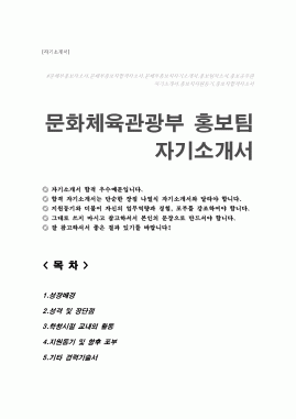 문화체육관광부 홍보팀 자기소개서-1페이지