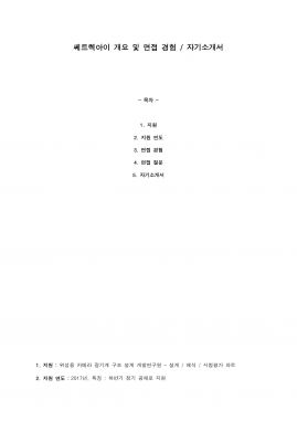 쎄트렉아이(신입)_RnD 구조설계 해석 개발 연구원_합격 자기소개서 및 면접경험_2017-1페이지