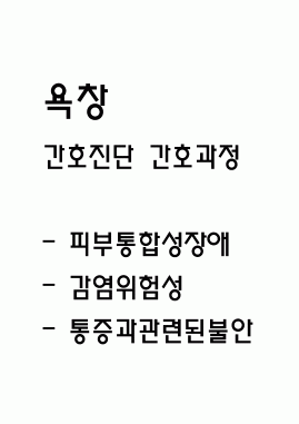 [욕창 간호과정] 욕창 간호진단 간호과정 케이스 (피부통합성장애,감염위험성,통증과관련된불안)-1페이지