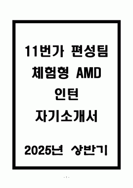 11번가 편성팀 체험형 AMD 인턴 자기소개서-1페이지