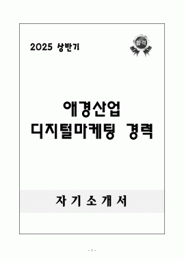 애경산업 디지털마케팅 경력-1페이지