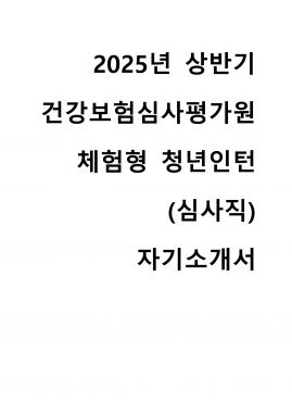 2025 건강보험심사평가원 인턴 심사직 자기소개서-1페이지