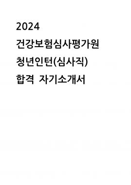 2024년 하반기 건강보험심사평가원 체험형 청년인턴 심사직 자기소개서-1페이지