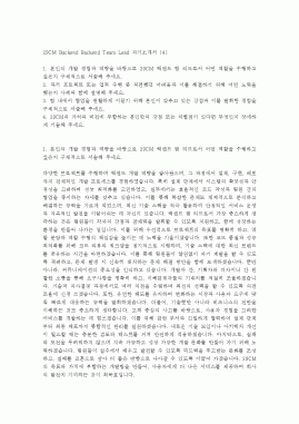 29CM Backend Team Lead 자기소개서 (4)-1페이지