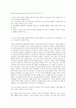 29CM Backend Team Lead 자기소개서 (5)-1페이지