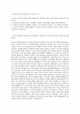 11번가_Big Data 개발 분야 자기소개서 (2)-1페이지