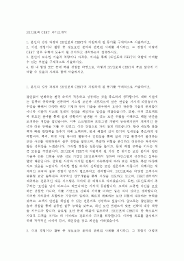 SK인포섹 CERT 자기소개서-1페이지