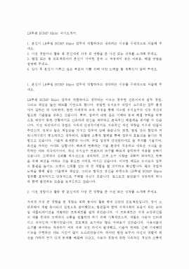 LB루셈 BUMP Maint 자기소개서-1페이지