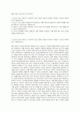 MBC 채용 자기소개서-1페이지