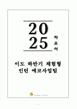 이도 하반기 체험형 인턴 에코사업팀 자기소개서-1페이지