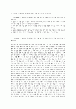 PTKOREA_VR 콘텐츠 및 라이브커머스 기획 운영 담당 자기소개서-1페이지