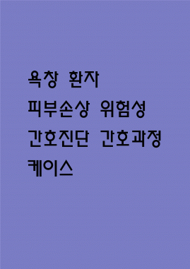 [욕창 간호진단] 욕창 환자 피부손상 위험성 간호진단 간호과정 케이스-1페이지