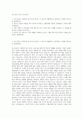 SK C&C 인턴 자기소개서-1페이지