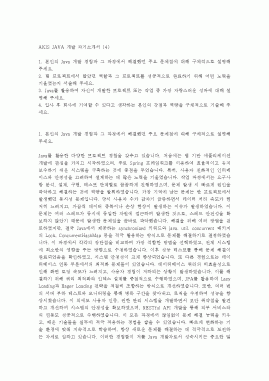 AKIS JAVA 개발 자기소개서 (4)-1페이지