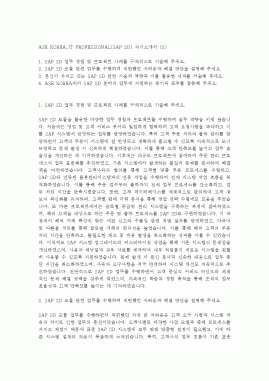 ASE KOREA_IT PROFESSIONAL(SAP SD) 자기소개서 (2)-1페이지
