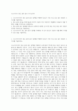 나스미디어 광고 효과 분석 자기소개서-1페이지
