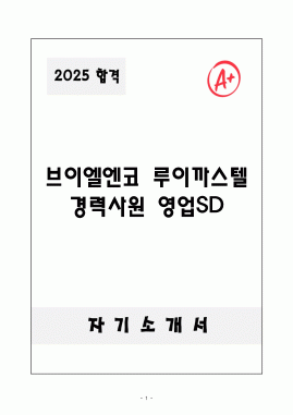 브이엘엔코 루이까스텔 경력사원 영업SD 자기소개서-1페이지
