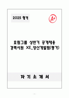 효림그룹 상반기 공개채용 경력사원 XE_양산개발팀(평가) 자기소개서-1페이지