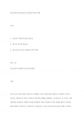 청소년복지의 필요성 및 사회복지사의 역할-1페이지