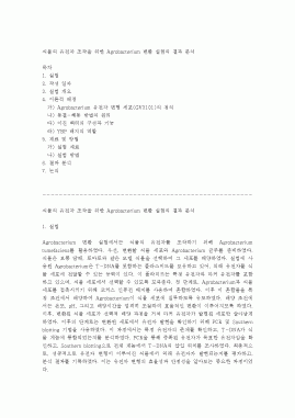 식물의 유전자 조작을 위한 Agrobacterium 변환 실험의 결과 분석-1페이지