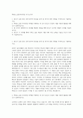루멘스_LED국내영업 자기소개서-1페이지