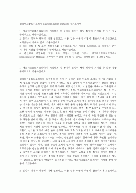 앰코테크놀로지코리아 Semiconductor Material 자기소개서-1페이지