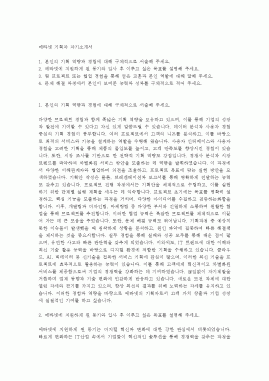 메타넷 기획자 자기소개서-1페이지