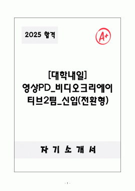 2025 [대학내일] 영상PD_비디오크리에이티브2팀_신입(전환형) 자소서-1페이지